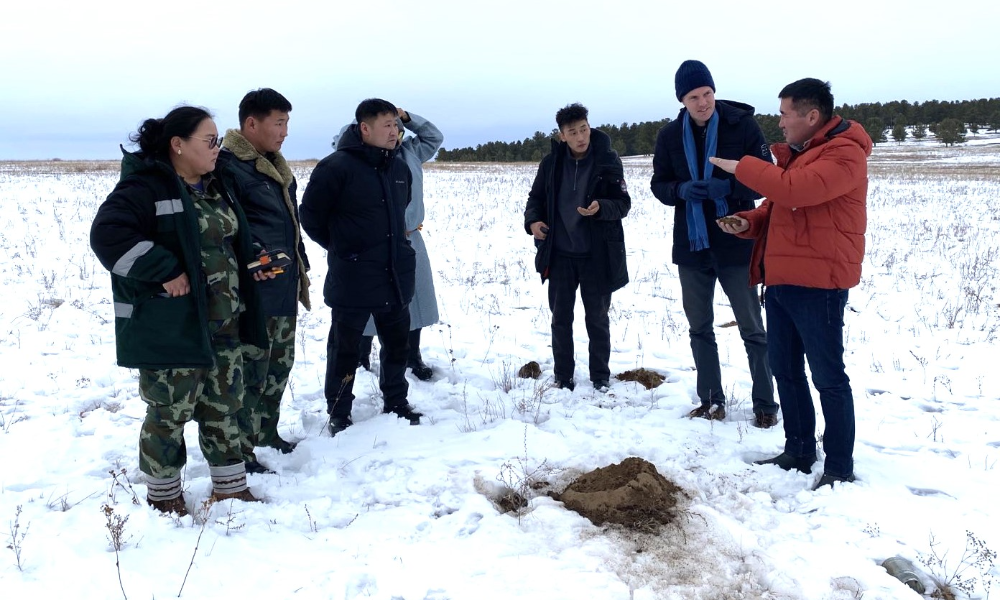 Ойн газар Засгийн газрын хэрэгжүүлэгч агентлаг